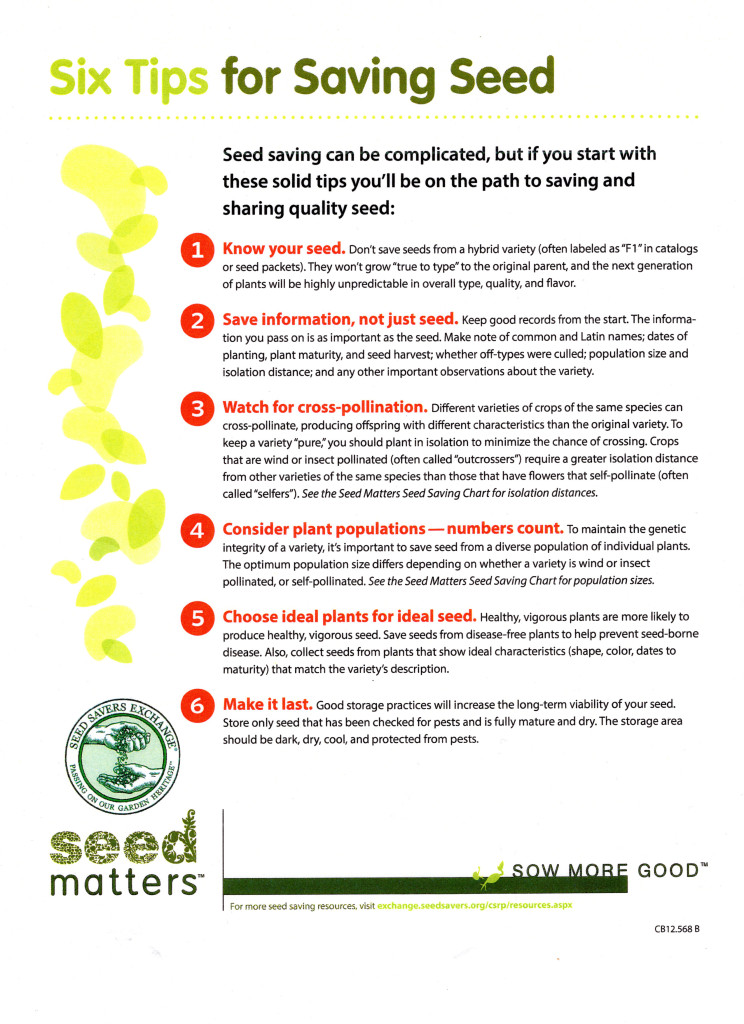 seed-saving-tips – New York Permaculture Exchange